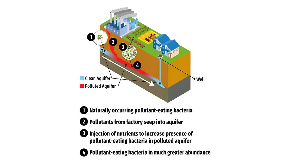 UC Riverside Research: Bacteria Destroys Unsaturated PFAS | Remediation ...